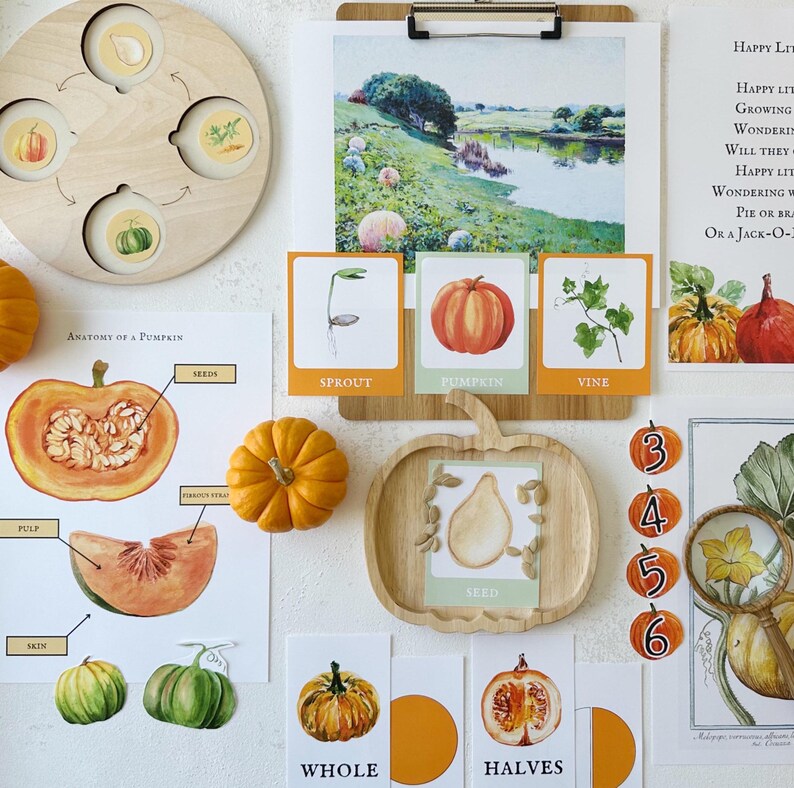 Pumpkin Unit Study, Fall Unit Study, Homeschool Pumpkin Study, Fall ...
