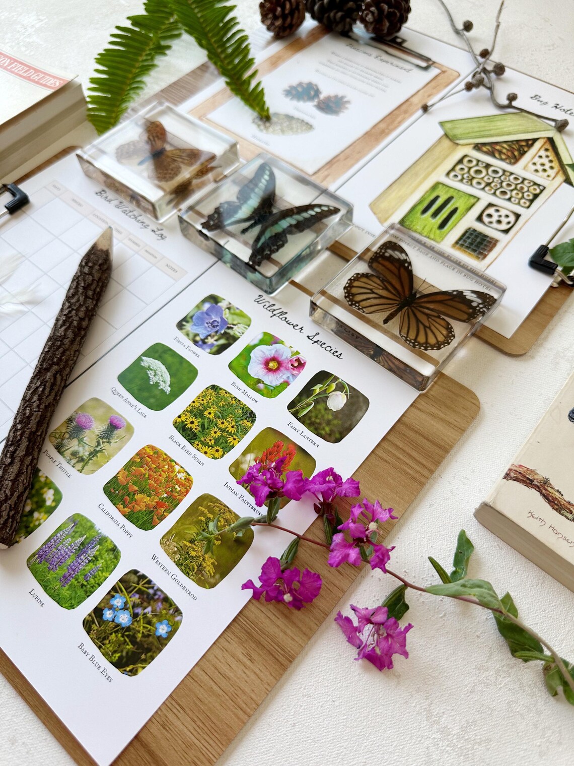 Nature Journal Study (forest Edition), Nature Journal Activities ...