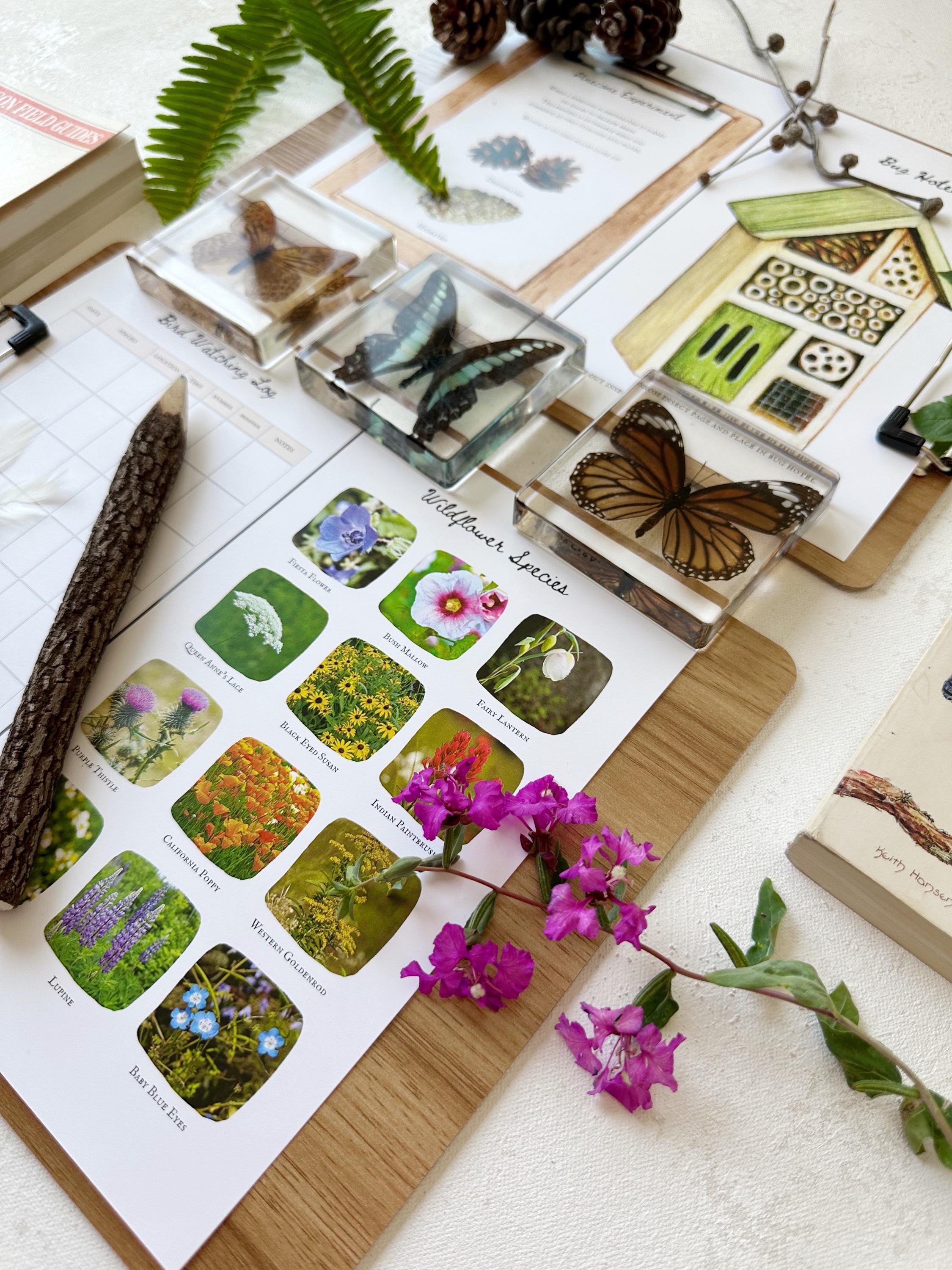 Nature Journal Study (forest Edition), Nature Journal Activities ...