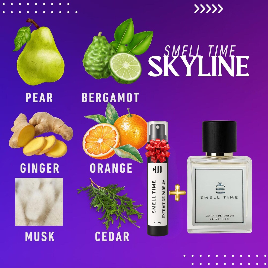 Skyline Perfume | Citrus, Fruity & Musk Blend | Long-lasting Fresh ...
