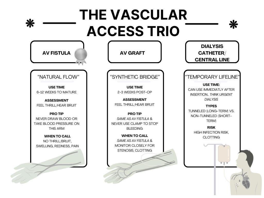 Dialysis Access Guide: AV Fistula, AV Graft, & Catheter - Nurse and ...