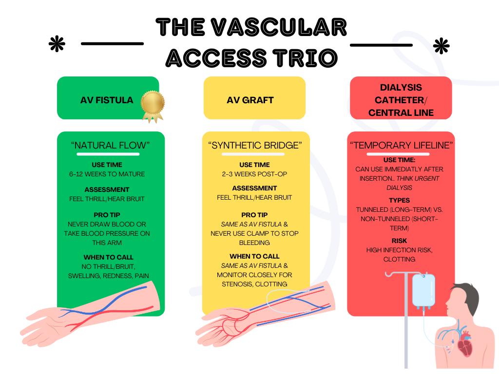Dialysis Access Guide: AV Fistula, AV Graft, & Catheter - Nurse and ...