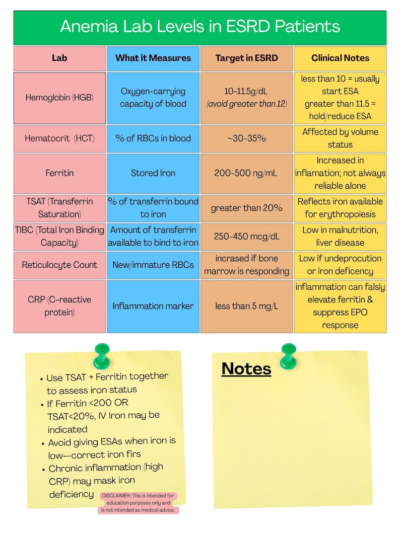 Anemia in ESRD Nurse Bundle – Labs, ESA, Iron, Flow Sheet & Reference ...