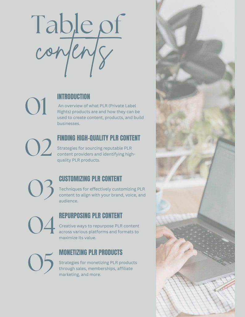 PLR Playbook Ebook/guide With Private Label Rights- (including Master ...