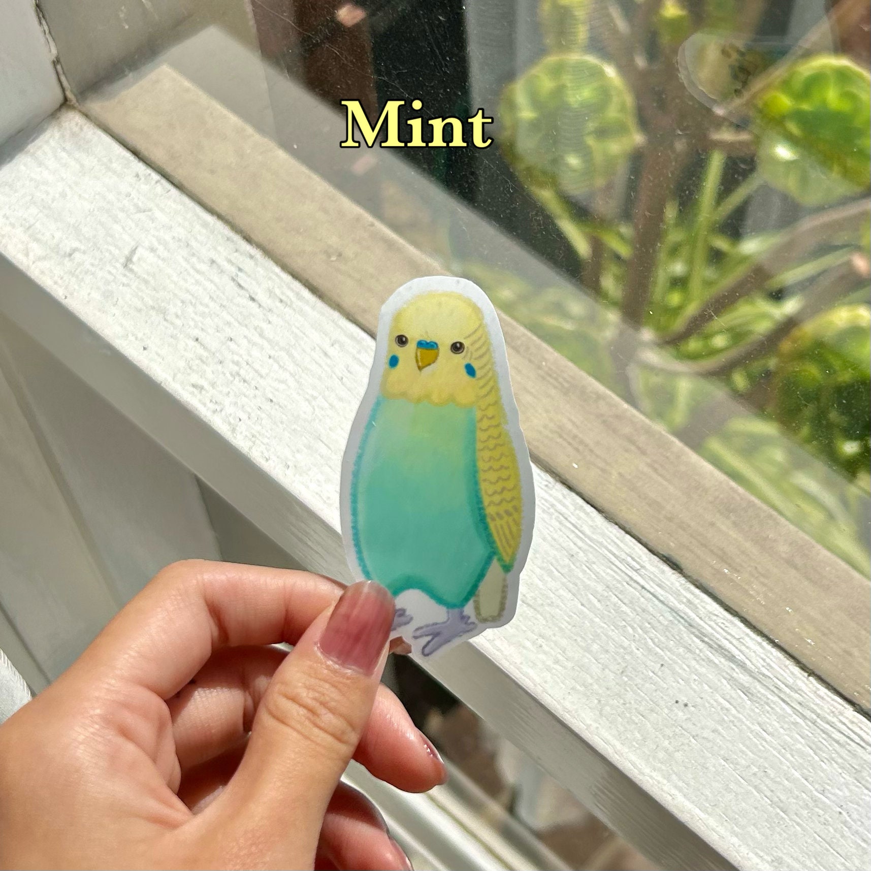 Budgie Vinyl Stickers, 5 Colours - Etsy