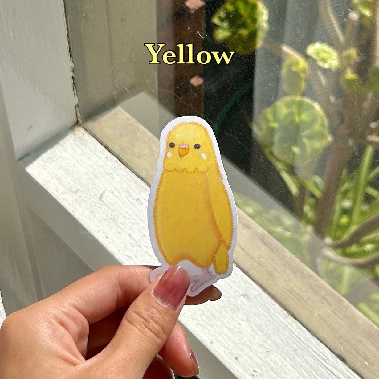 Budgie Vinyl Stickers, 5 Colours - Etsy