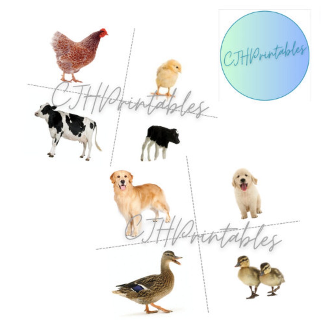 Farm Animal Montessori Language Cards - Etsy