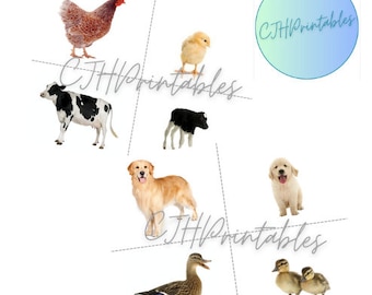 Montessori Toddler Language Cards - Farm - Etsy