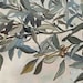 Olive Tree Framed Canvas Wall Art Print, Long Horizontal Olive Branch ...
