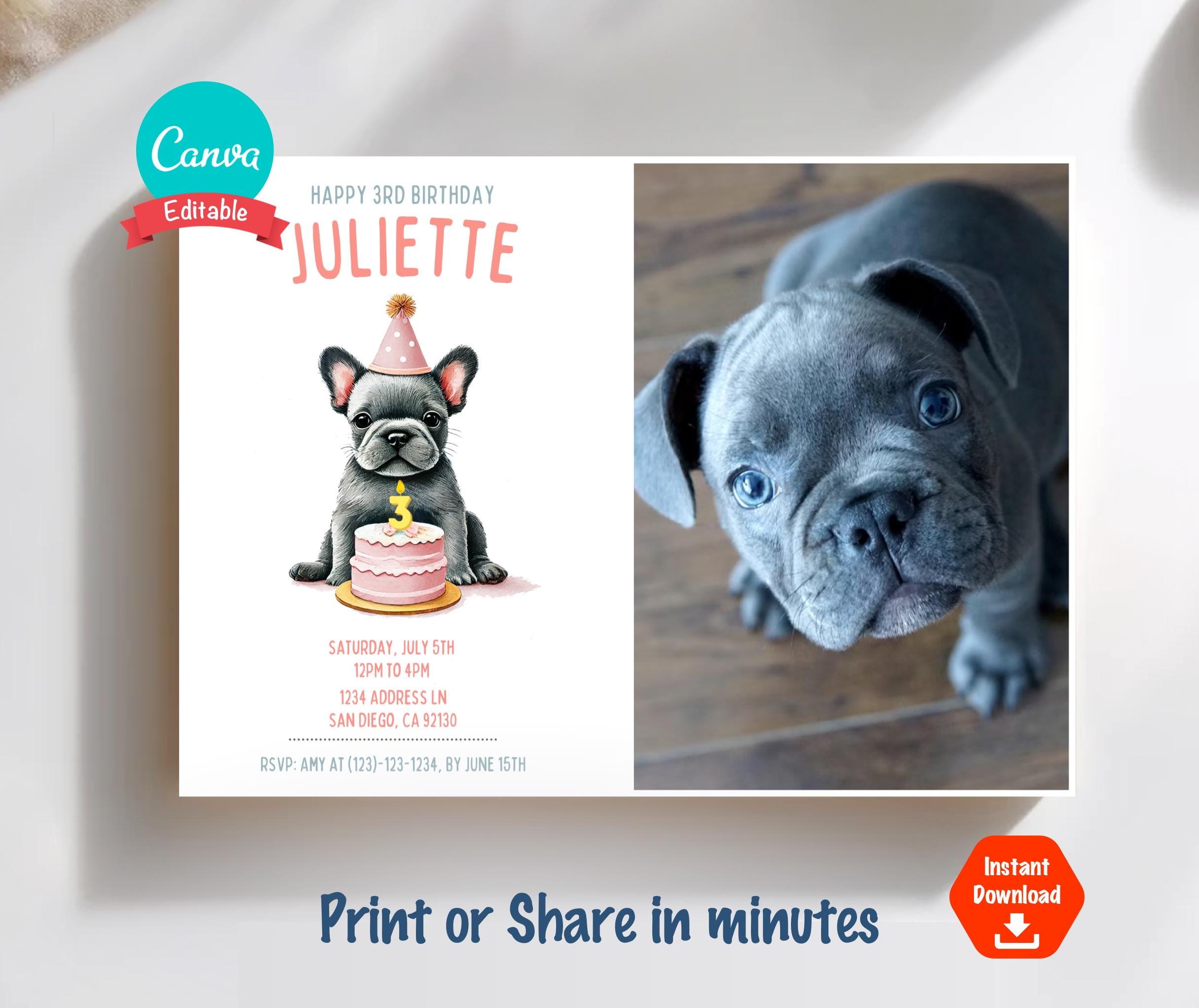 Grey Frenchie Birthday Photo Invitation, Editable Candle Age ...