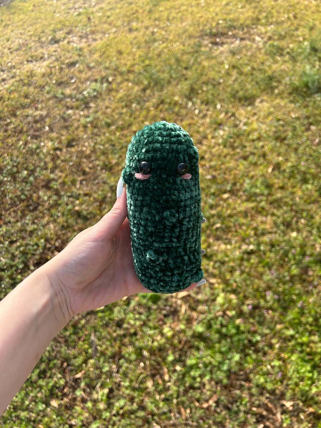 Pattern:crochet Amigurumi Emotional Support Pickle Pattern - Etsy