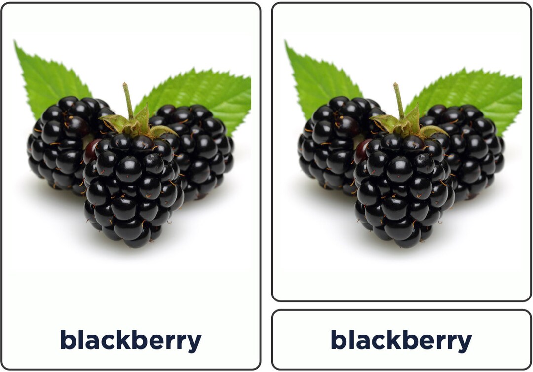 Montessori Fruits Flash Cards for Toddlers - 50 Fruit Learning Cards ...