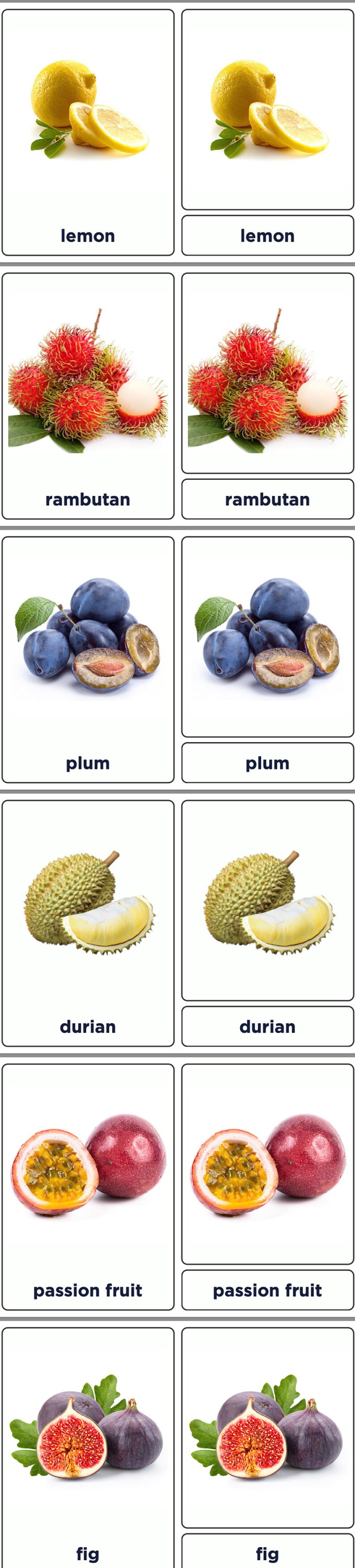Montessori Fruits Flash Cards for Toddlers - 50 Fruit Learning Cards ...