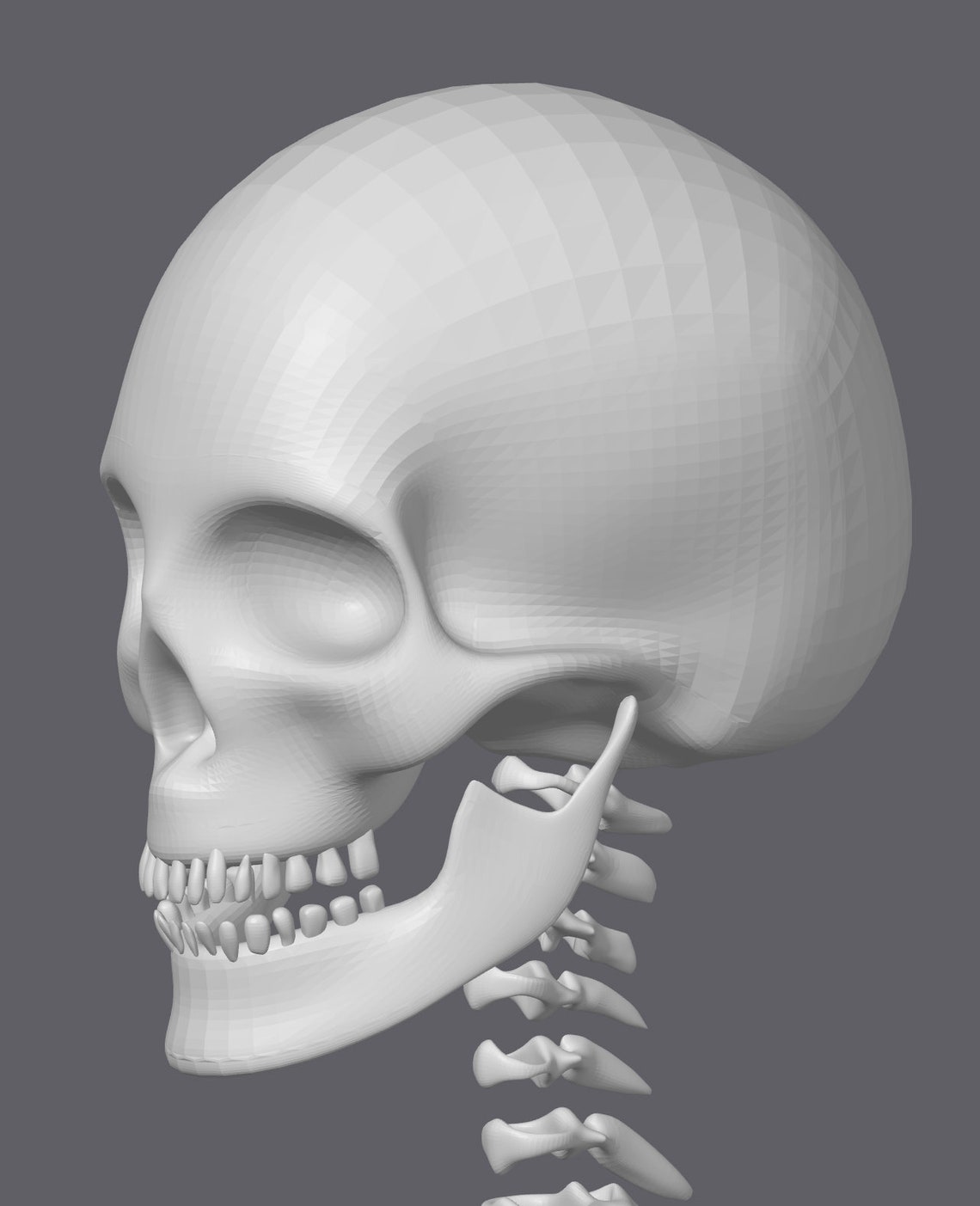 Human Skeleton - Anatomy - 3D Printable STL File - High Quality Digital ...
