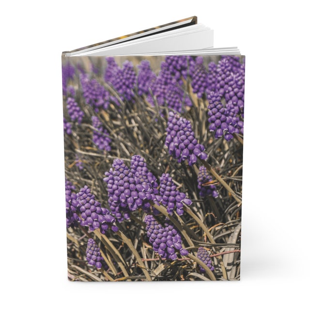 Riverweed - Etsy Canada