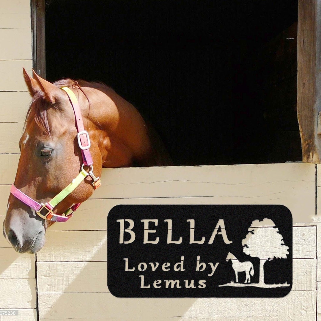 Custom Metal Horse Stall Name Plate,horse Sign,horse Decor,personalized ...