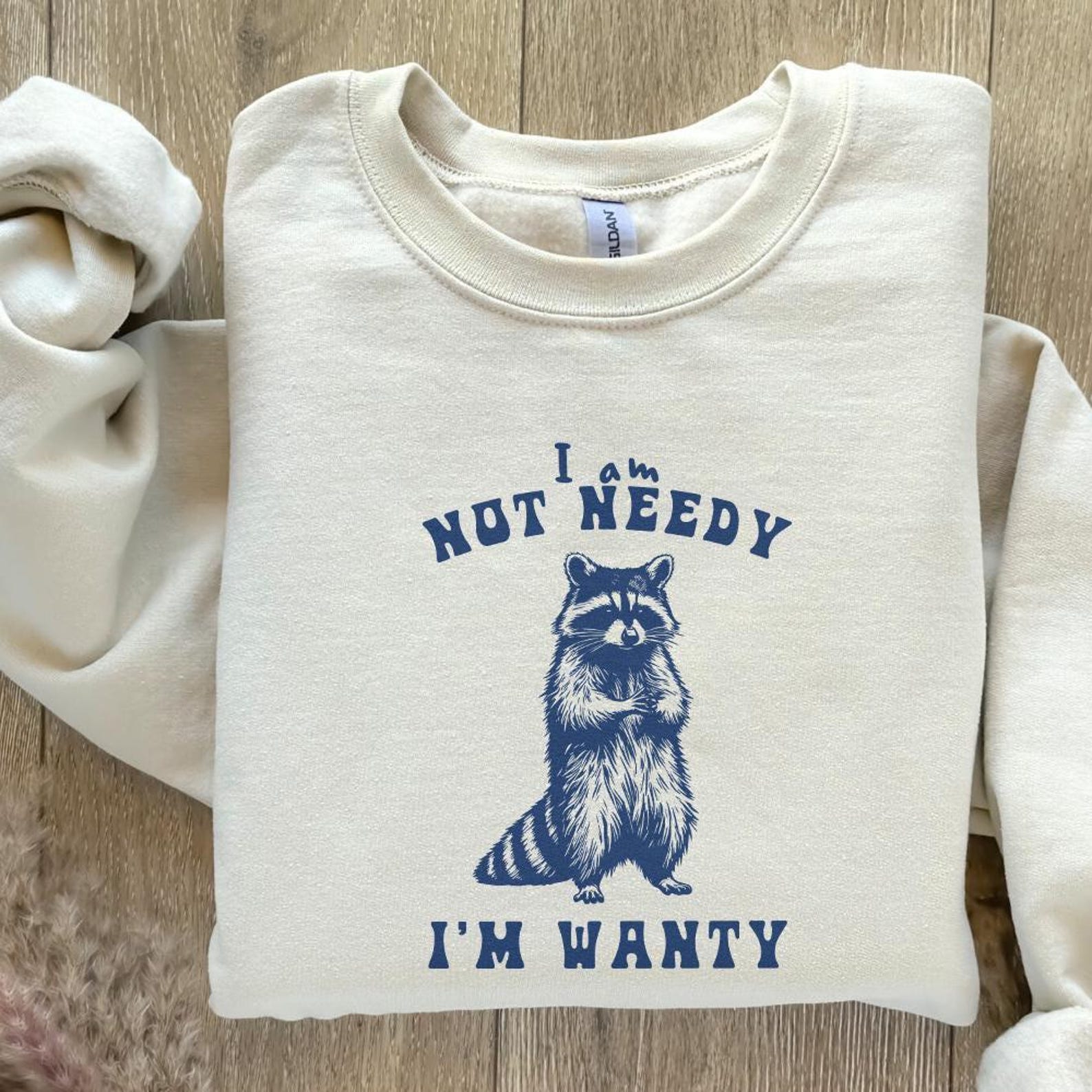 I'm Not Needy I'm Wanty Png PNG, Funny Raccoon, Trash Panda, Sarcastic ...