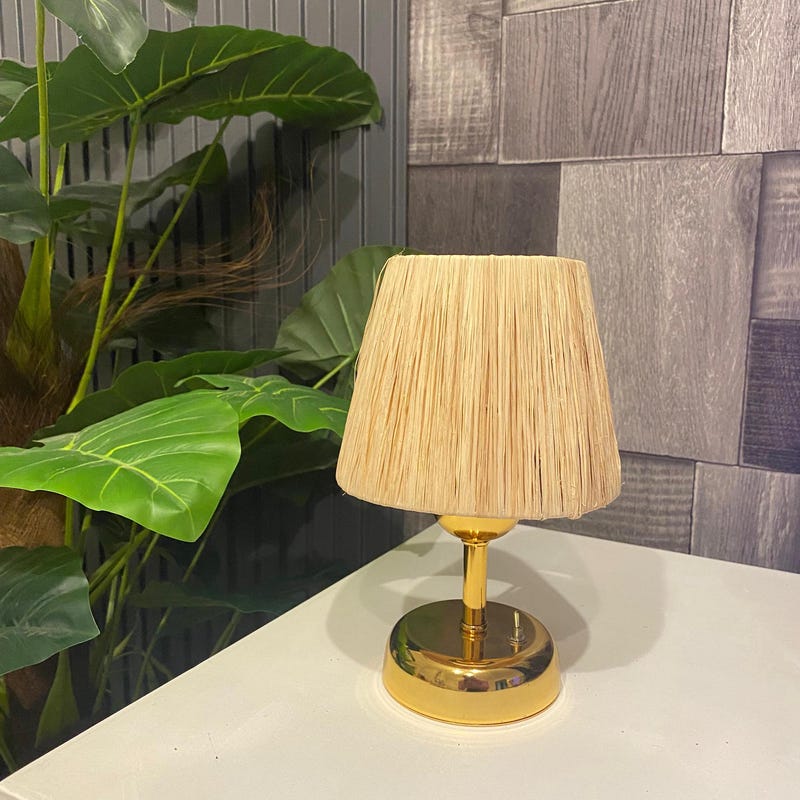 Black Raffia Lamp - Etsy
