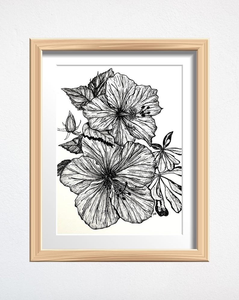 Fine Art Print, Flower Drawing, Flower Art, Hibiscus, Physical Print ...