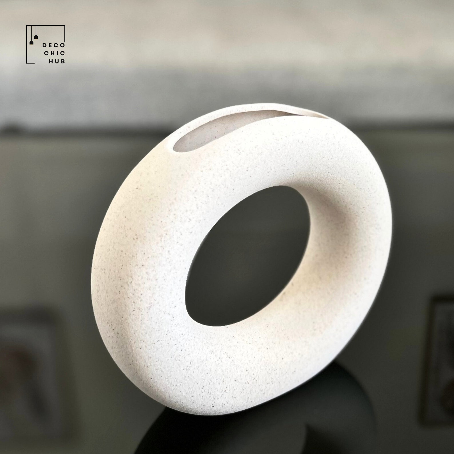 Modern Ceramic Round Shaped Vase, Living Room Flower Arrangement ...