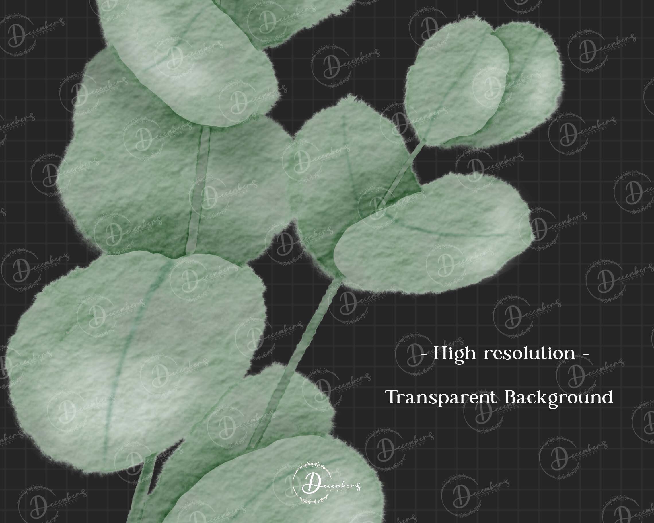 Watercolor Eucalyptus Leaves PNG Clipart, Watercolor Botanical ...