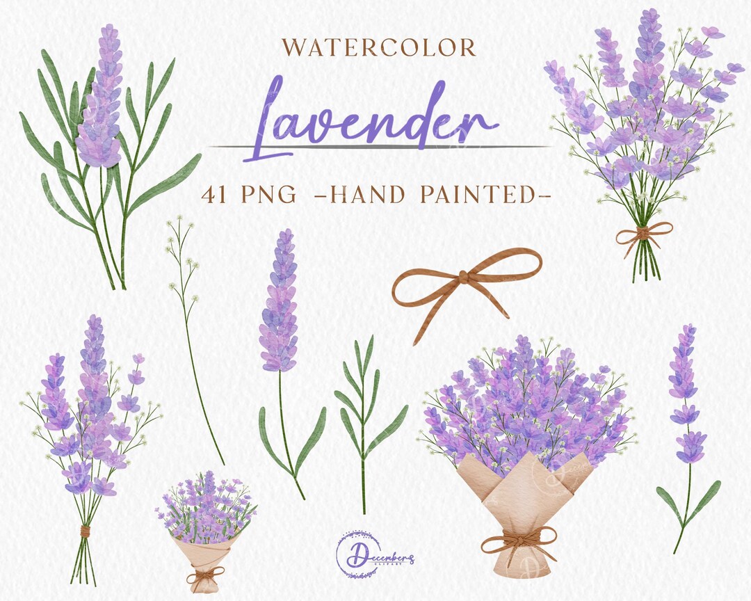 Watercolor Lavender Flowers Clipart PNG, Watercolor Wedding, Lavender ...