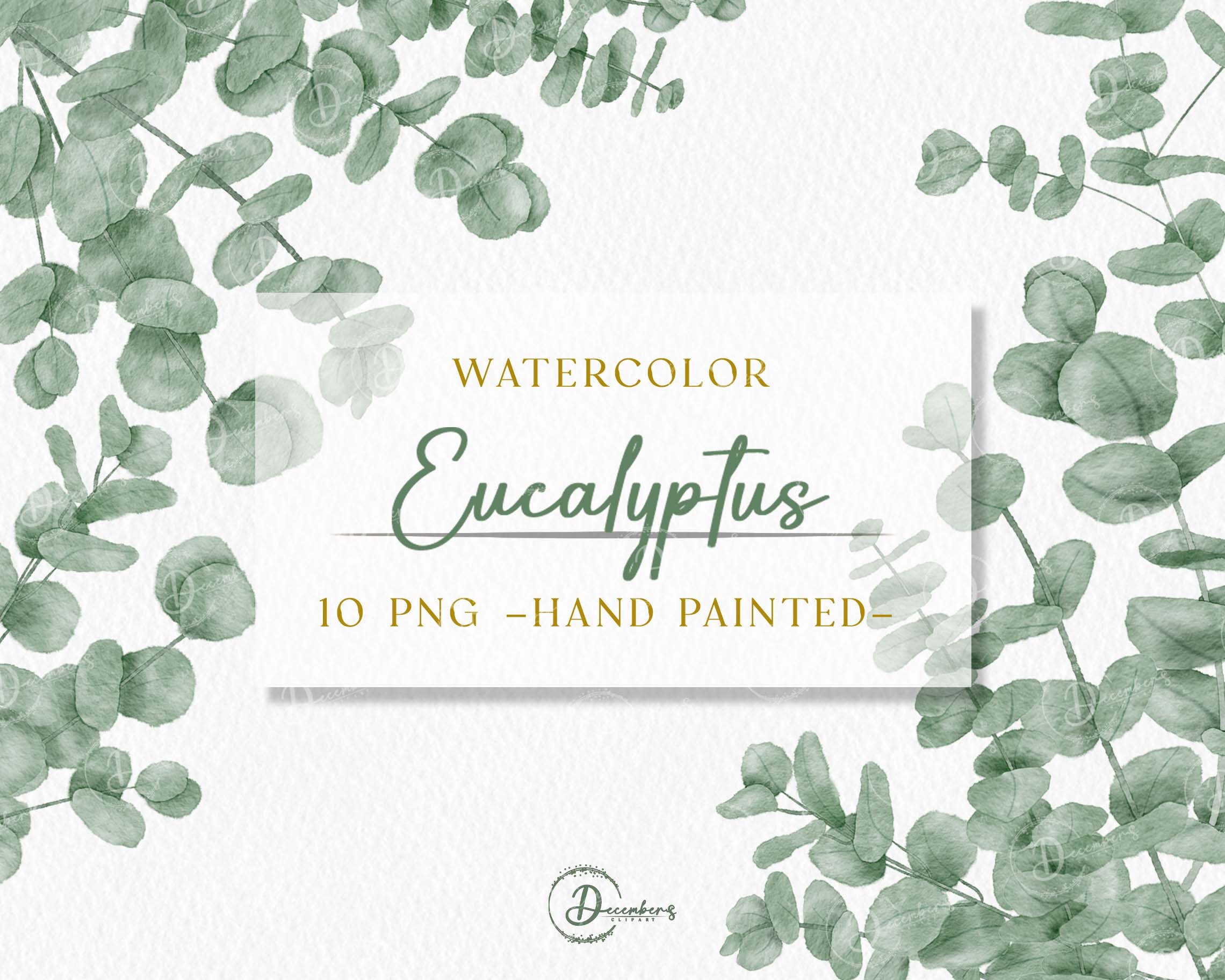 Watercolor Eucalyptus Leaves PNG Clipart, Watercolor Botanical ...