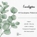 Watercolor Eucalyptus Leaves PNG Clipart, Watercolor Botanical ...