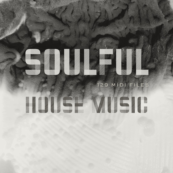 House Music Midi - Etsy UK