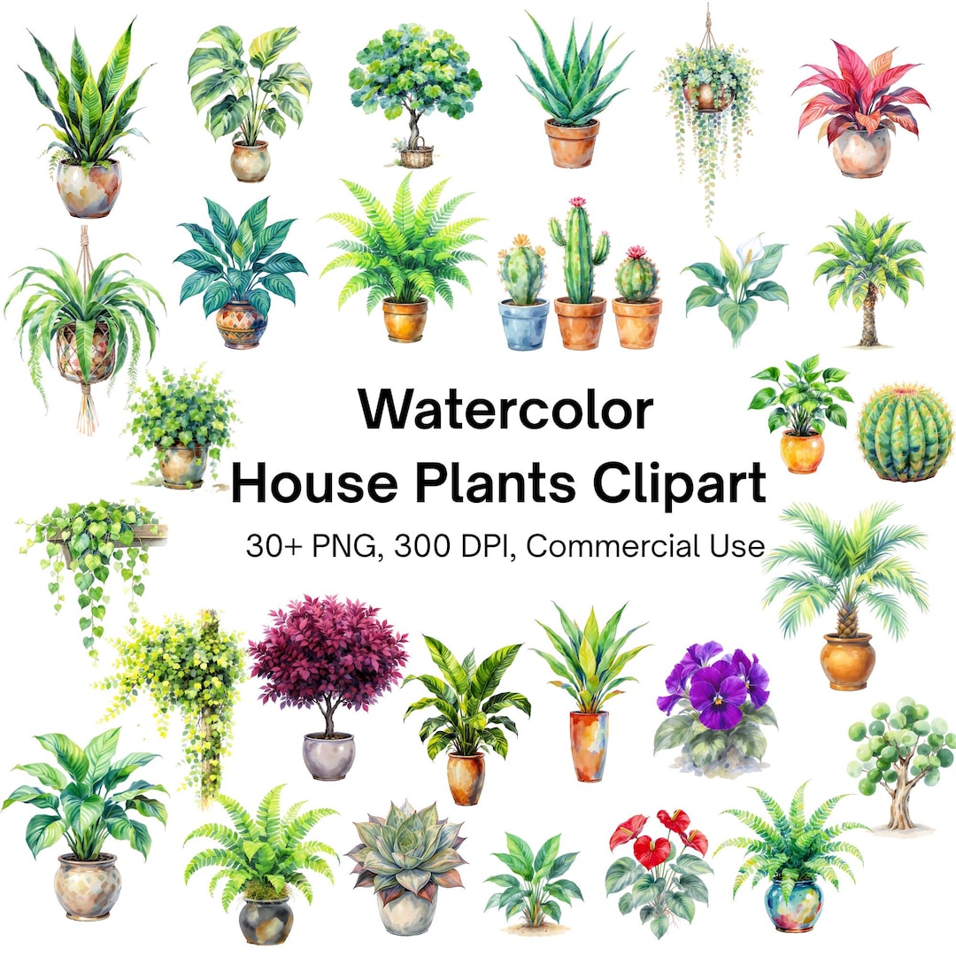 30 Watercolor House Plant Clipart PNG, Plant Lover Illustration ...