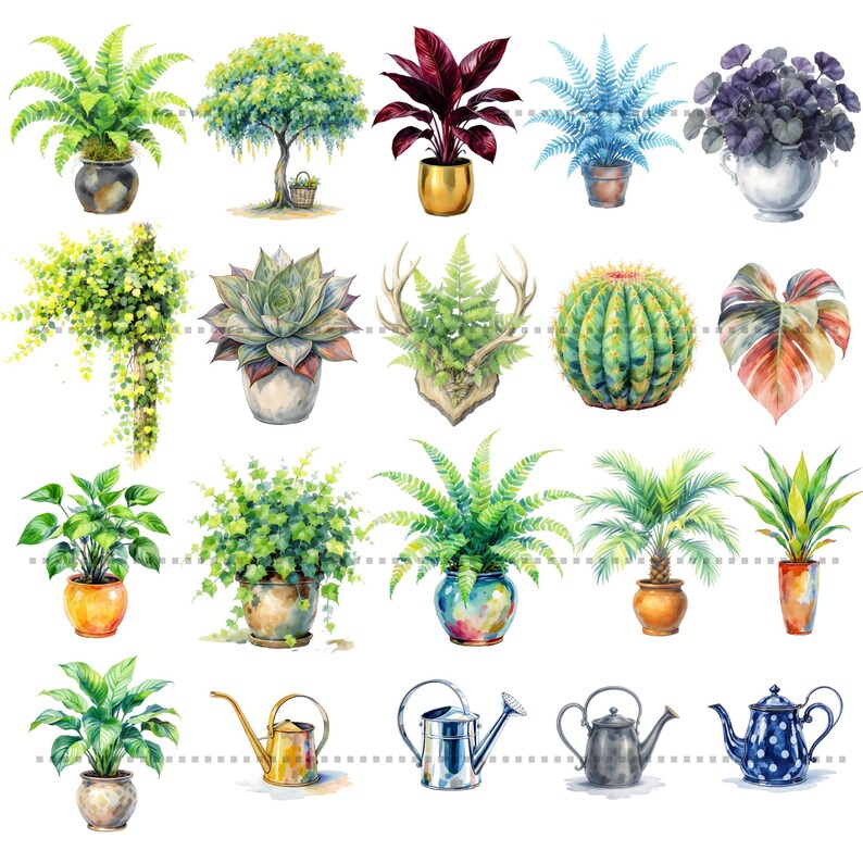 30 Watercolor House Plant Clipart PNG, Plant Lover Illustration ...