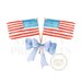 Preppy American Flag PNG Preppy Bow Flag Watercolor Grandmillenial ...