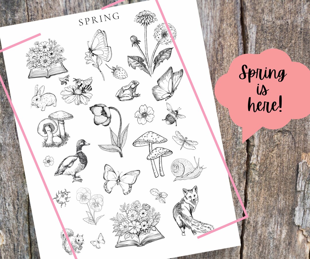Spring Tiny Illustrations, Coloring Pages, Wildlife Spring Printables ...