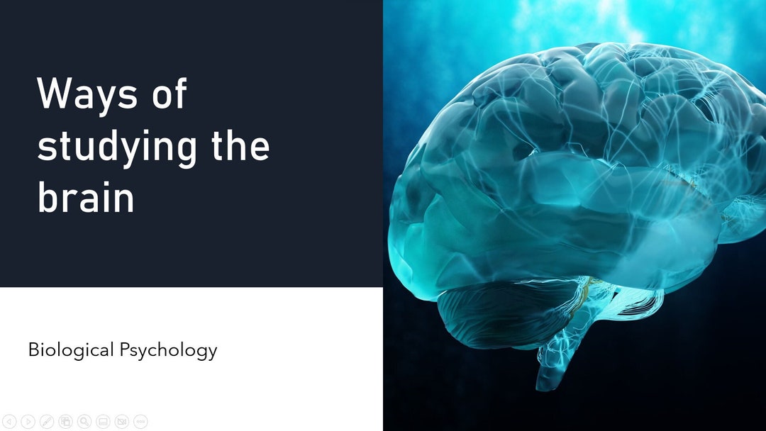 Brain Scanning Techniques, AQA A-level Psychology - Etsy