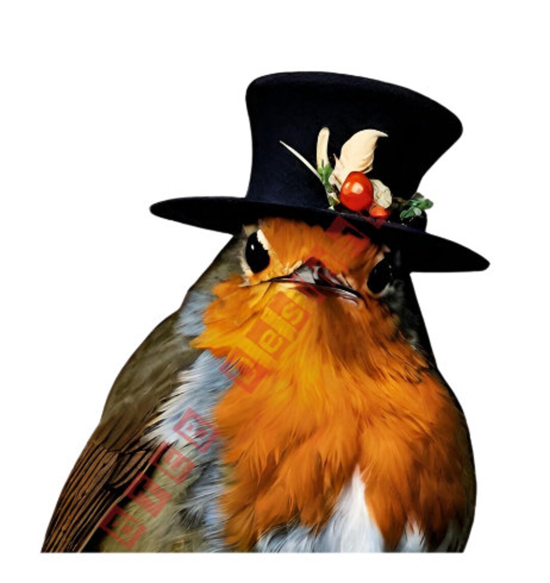 Vinyl Sticker Grumpy Robin With Fancy Hat - Etsy
