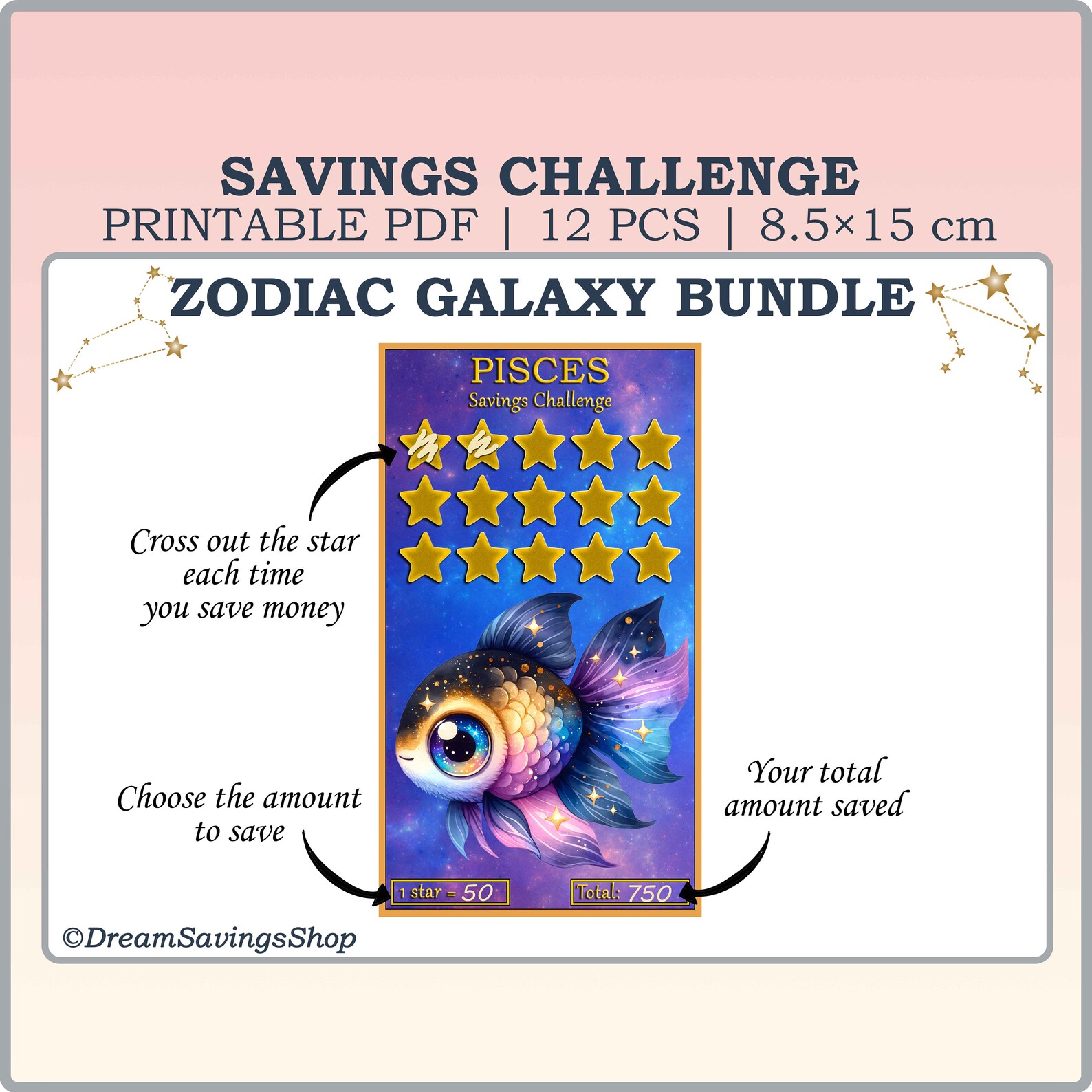 Zodiac Galaxy Money Challenge Bundle, Zodiac Sign Saving, Money Saving ...