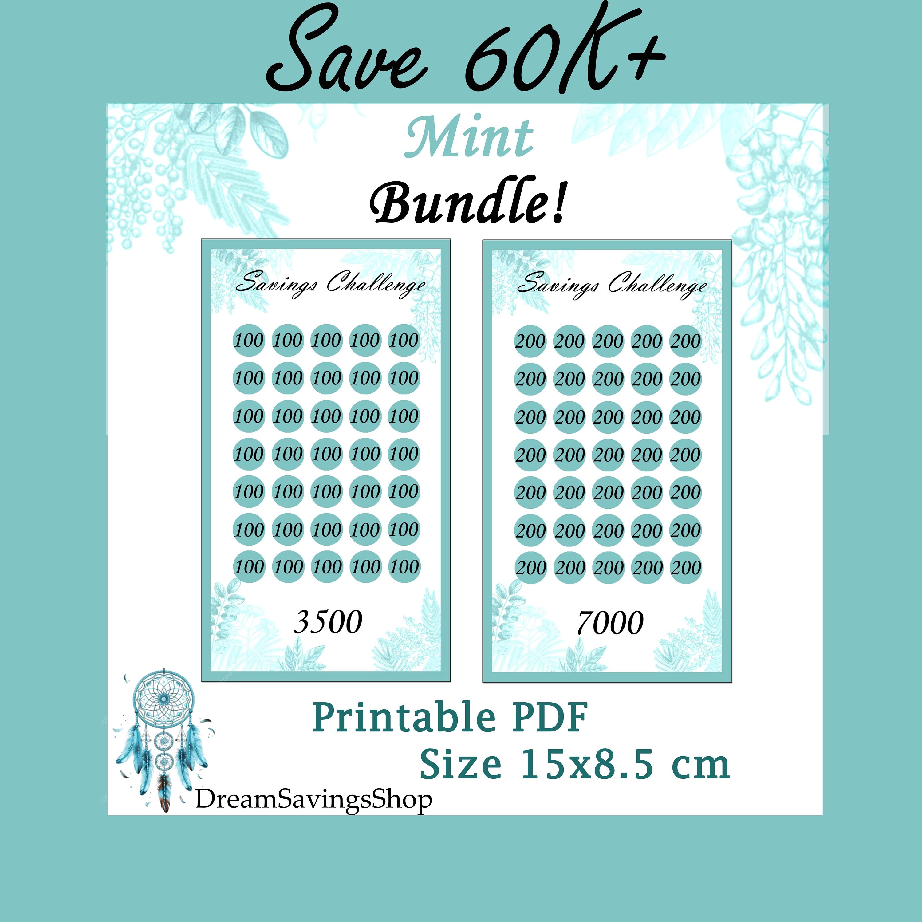 Mint Savings Challenge Bundle, 60K Saving Challenge, Floral Pack, A6 ...