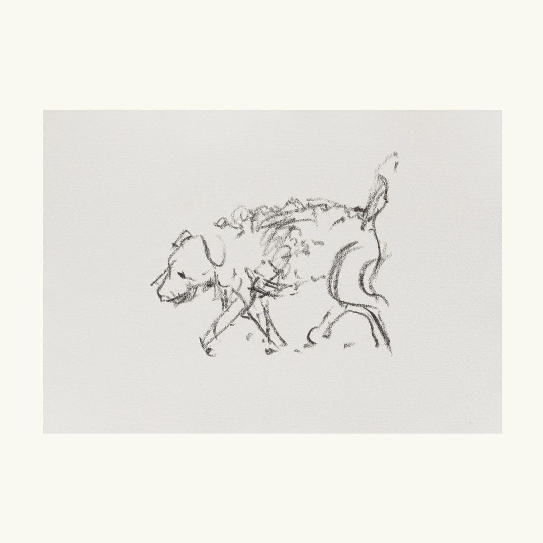 Antique Dog Drawing Poster Charcoal Illustration Sketch Wall Art ...