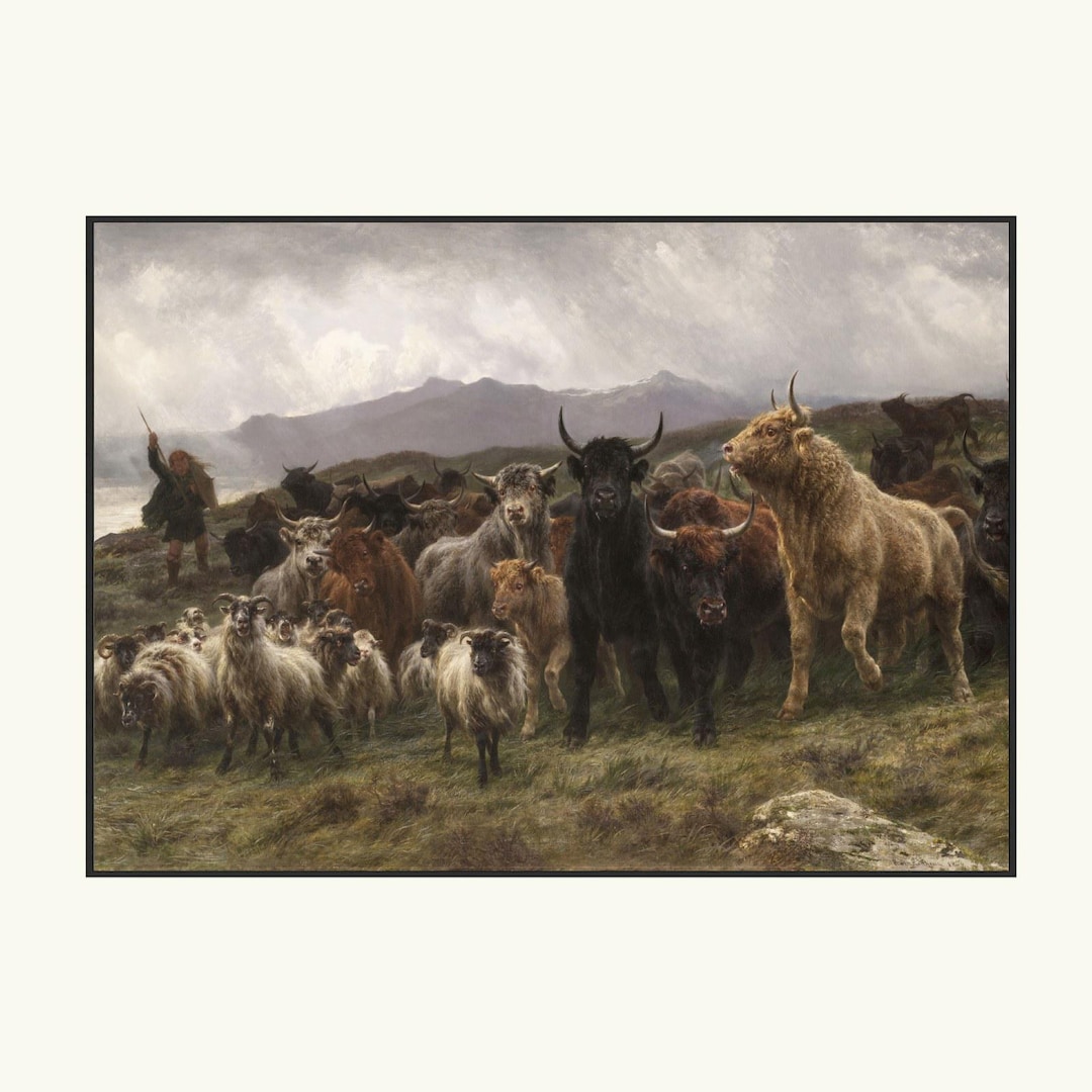 Vintage Highland Cattle Poster | Scottish Animal Painting | Cow Herd ...