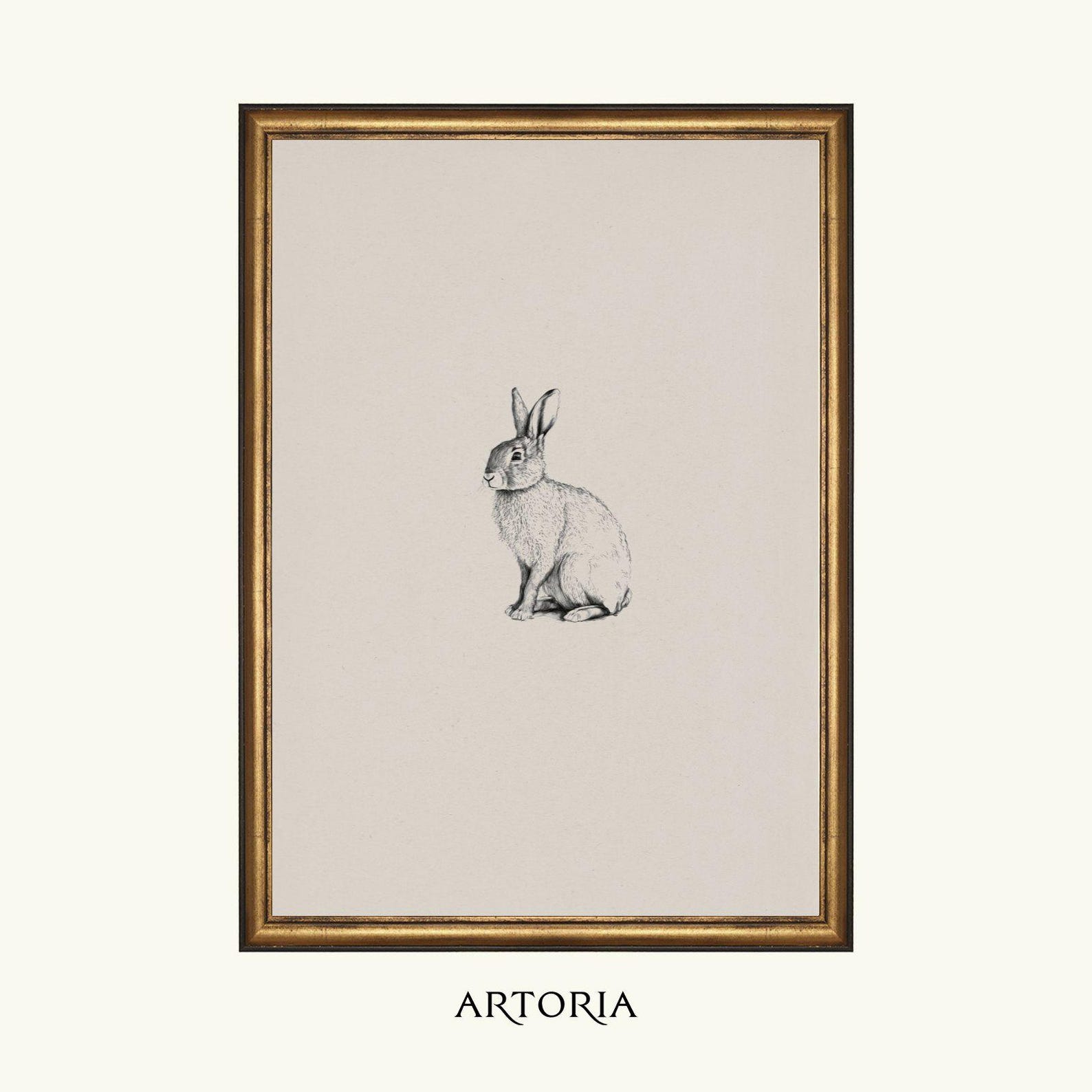 Antique Bunny Rabbit Drawing Poster | Childs Nursery Pencil Sketch Wall ...