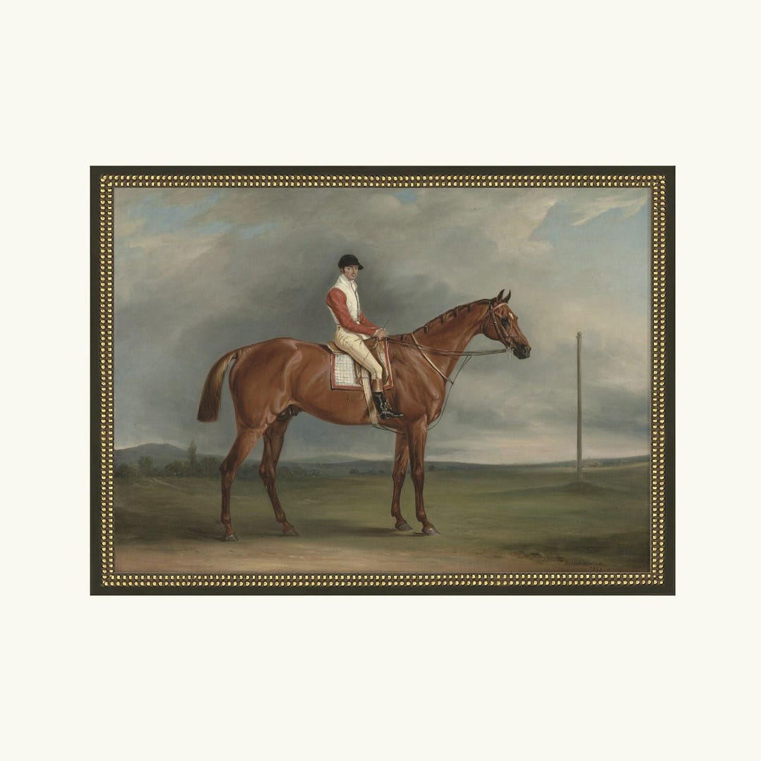 Antique Equestrian Portrait Print | Standing Horse Painting | Vintage ...