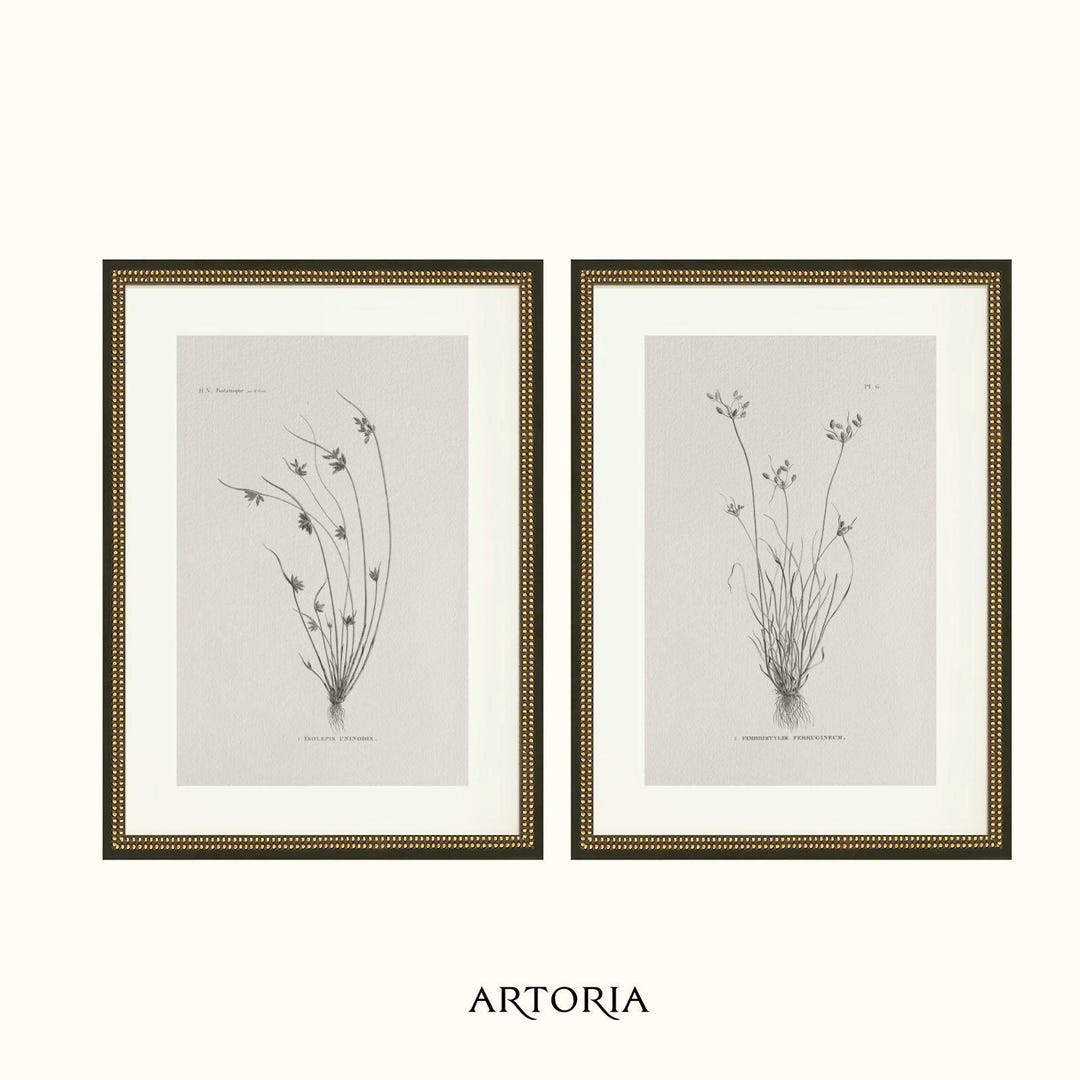 Set of 2 Wildflower Stem Sketch Prints | Two Dried Flower Drawing ...