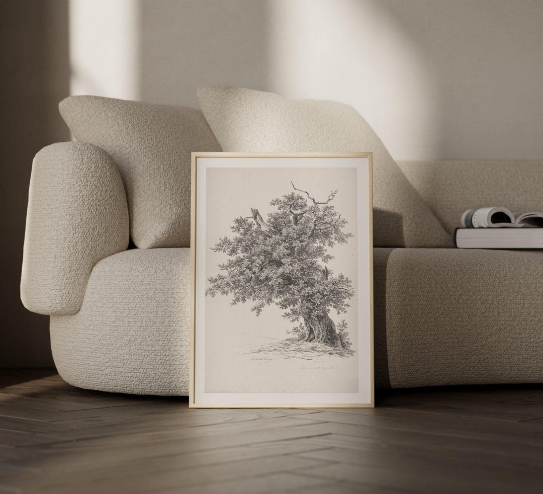 Antique French Tree Study Drawing Print | Vintage Sketch Wall Art ...