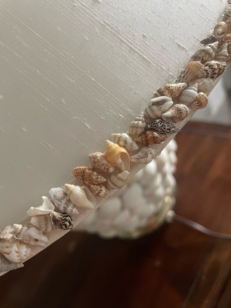 Shell Beach Lamp - Etsy