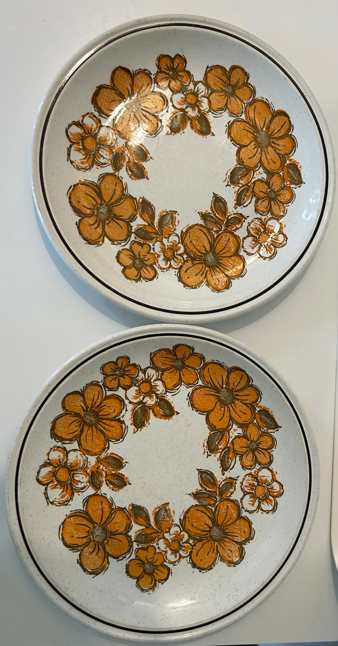 Myott Summerdale Dinner Plates, Set of 2, Orange Flowers, Beige Speckle ...