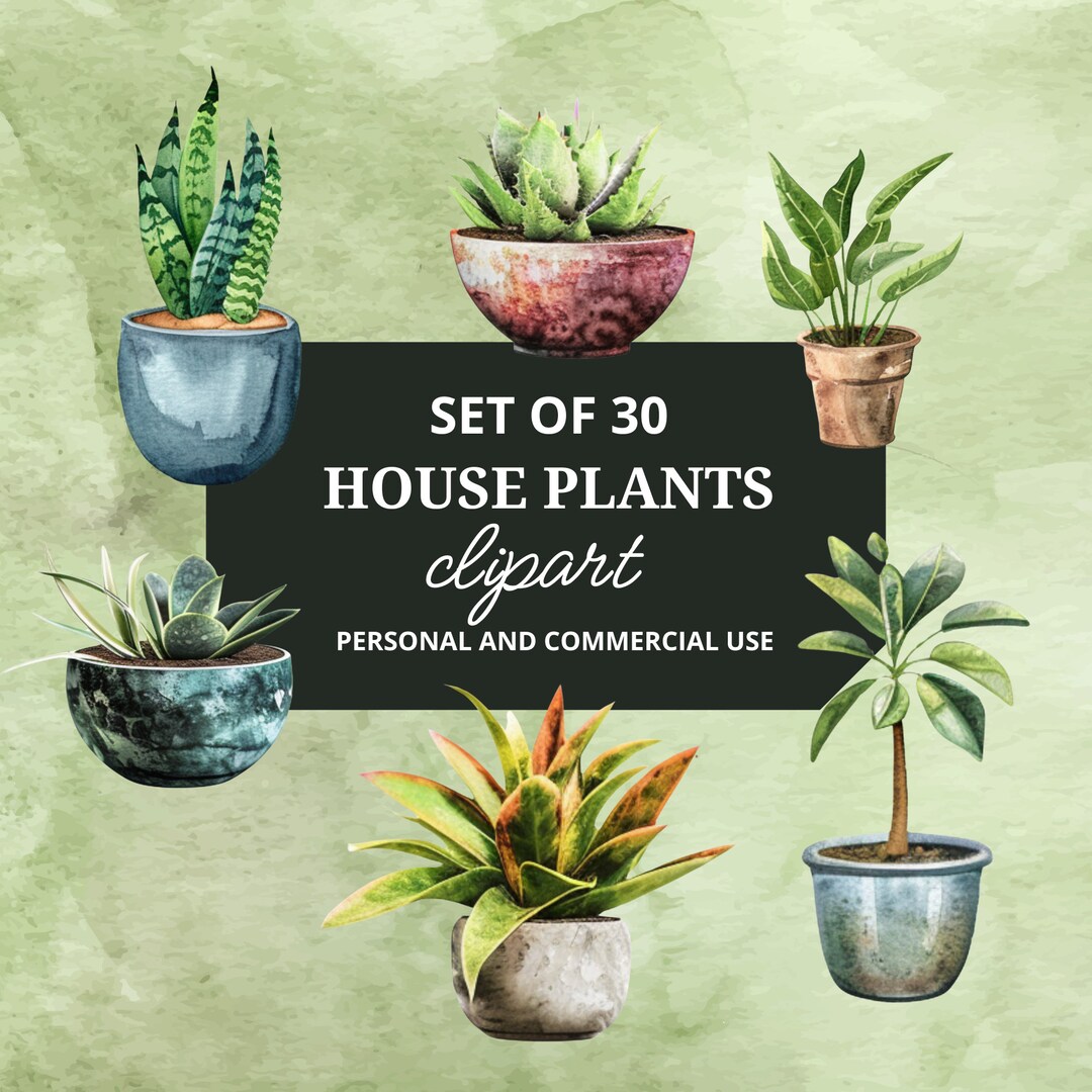 House Plants Clip Art, Watercolor House Plants Clip Art, Indoor Plants ...