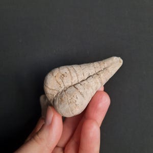 Neolithic Venus Statue, Goddess of Fertility, Prehistoric Statue ...