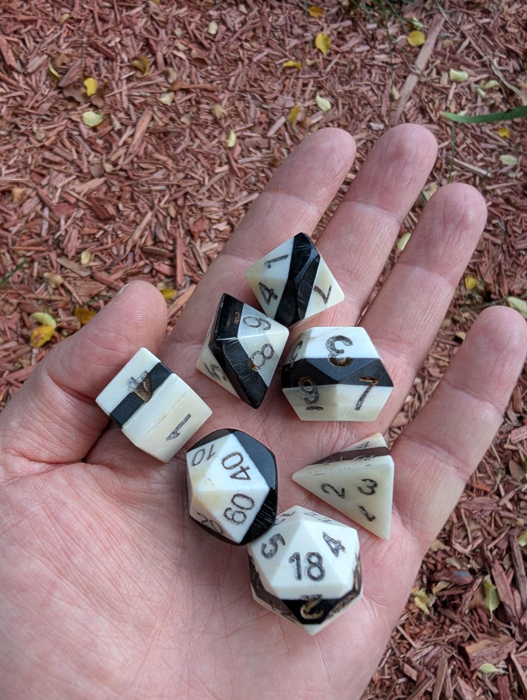 Hand-carved Bone & Horn Dnd Dice Set: Rustic RPG Accessory (RRR) - Etsy