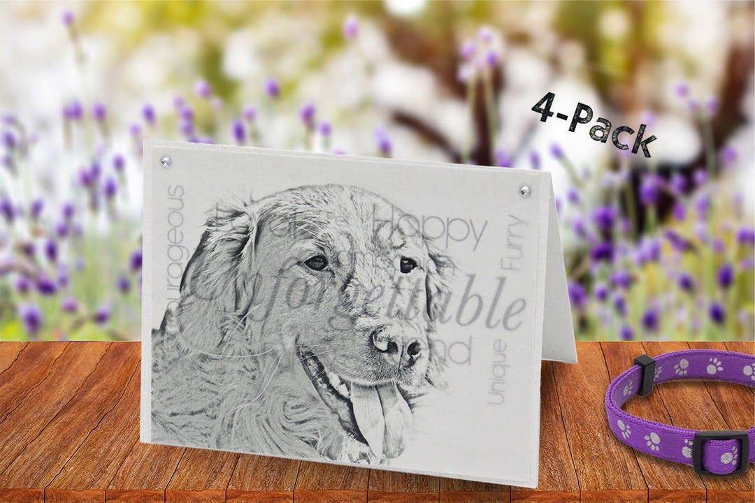 Retriever Pet Sympathy Note Card, Pet Loss Support Cards, Thank You Pet ...