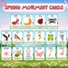 Animal Movement Cards Montessori Flashcards Handprint Keepsake ...